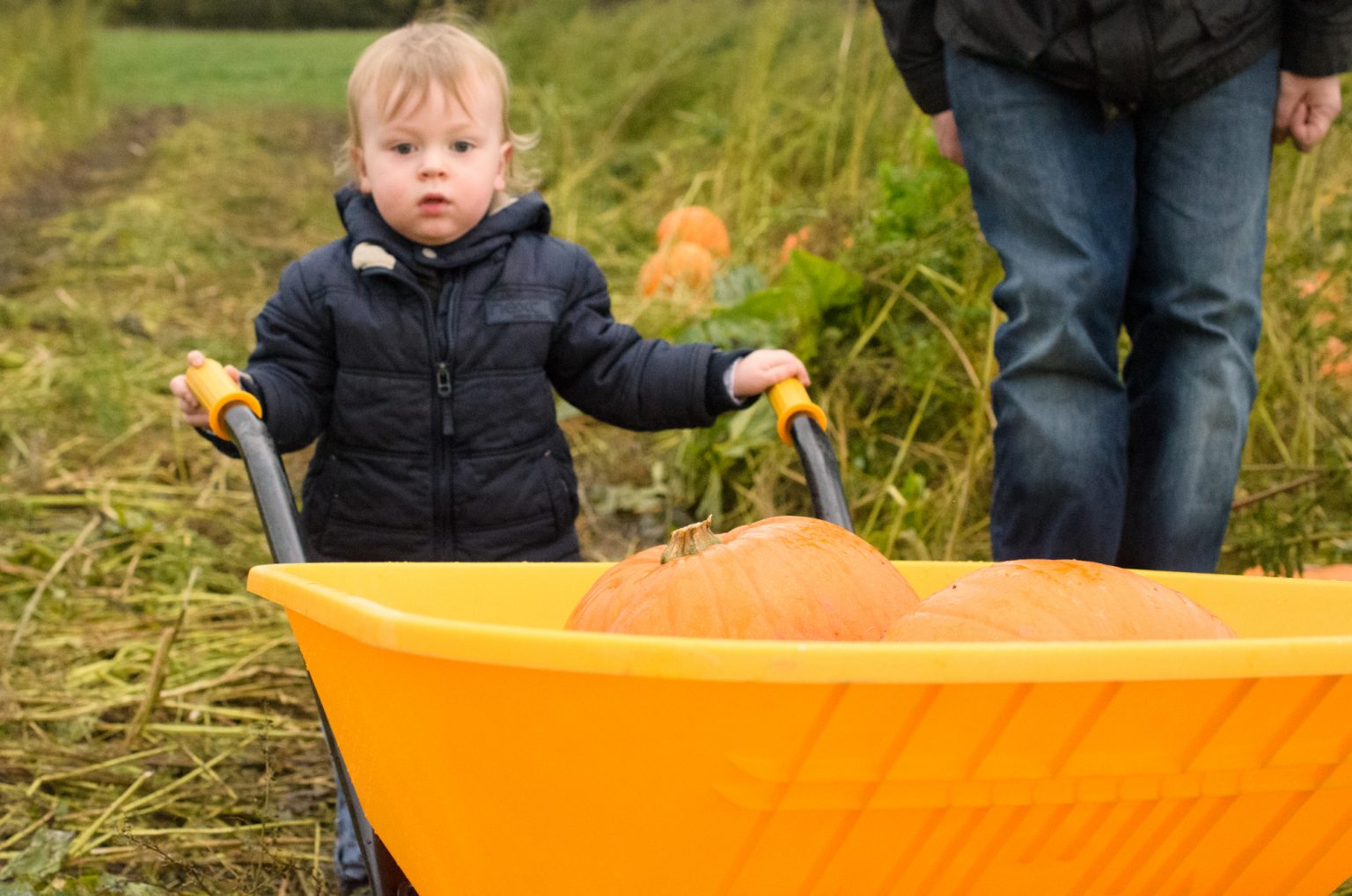 Birchfield Farm Pumpkin Festival review – Natural Beauty with Baby