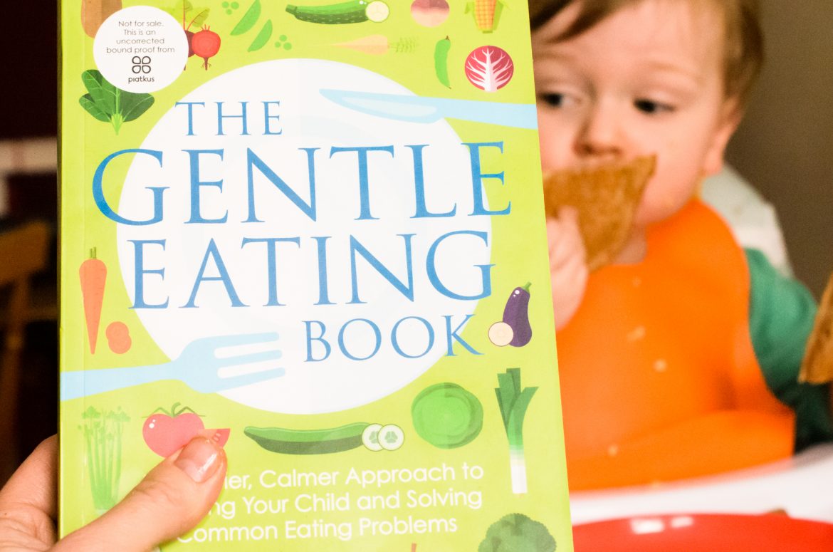 The Gentle Eating Book review – Natural Beauty with Baby