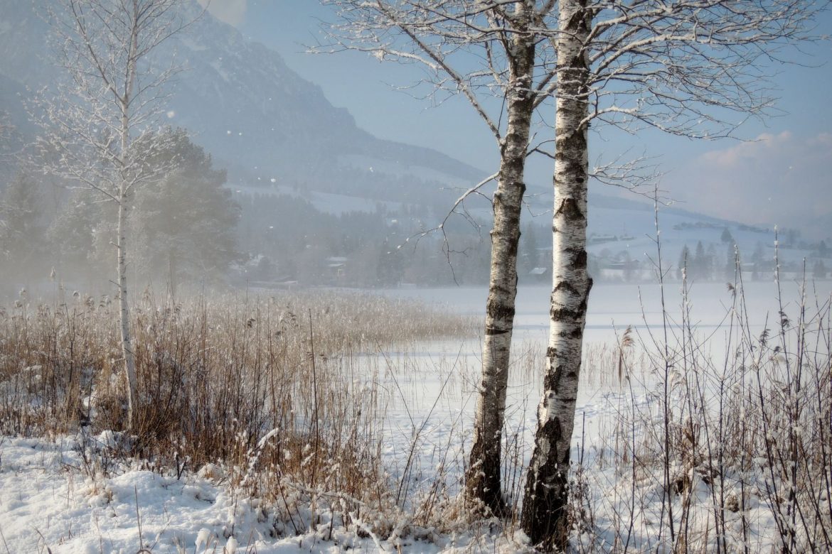 Best Round Lab Korean Skincare: Picks for Glowing Skin – Natural Beauty ...